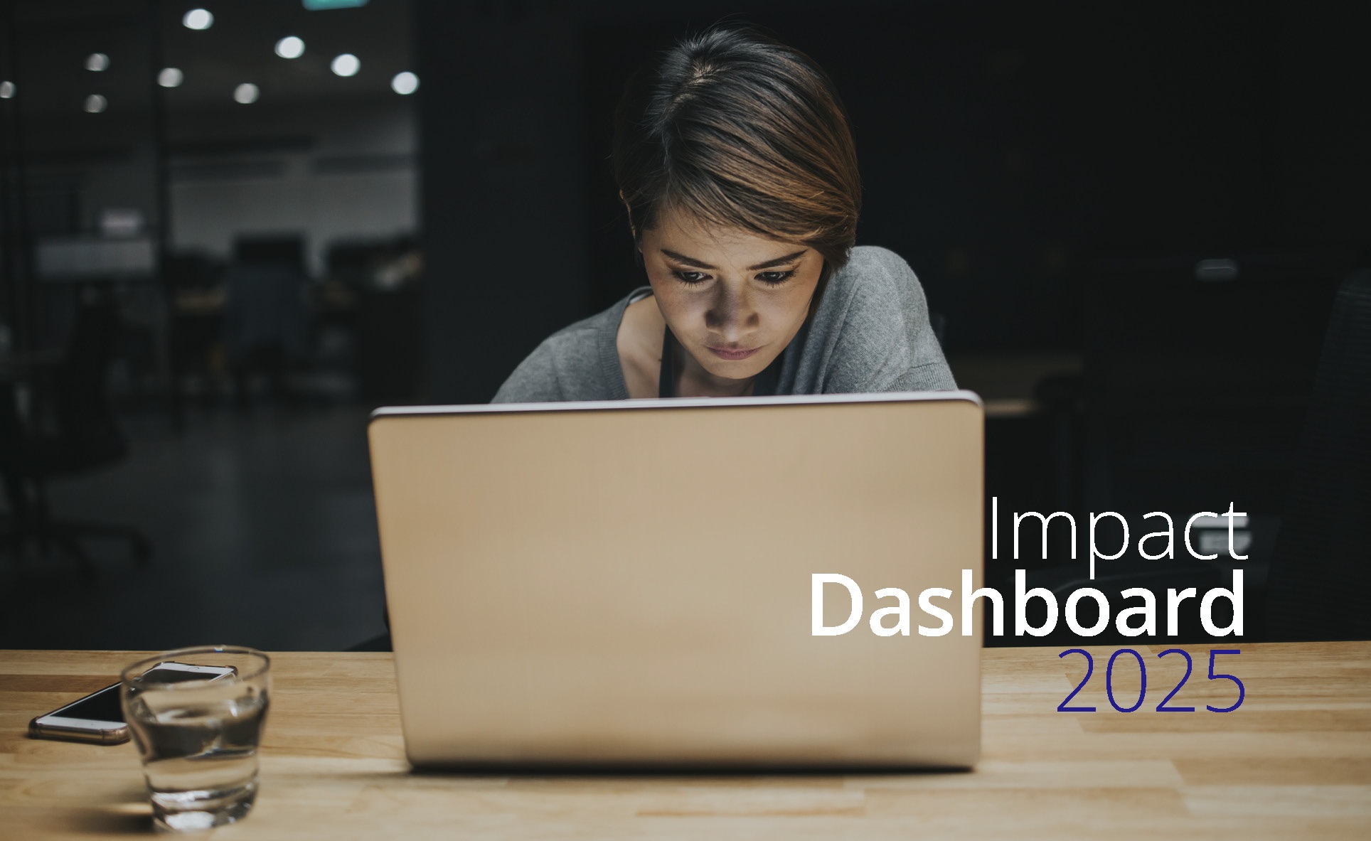 MDIF Impact Dashboard 2025